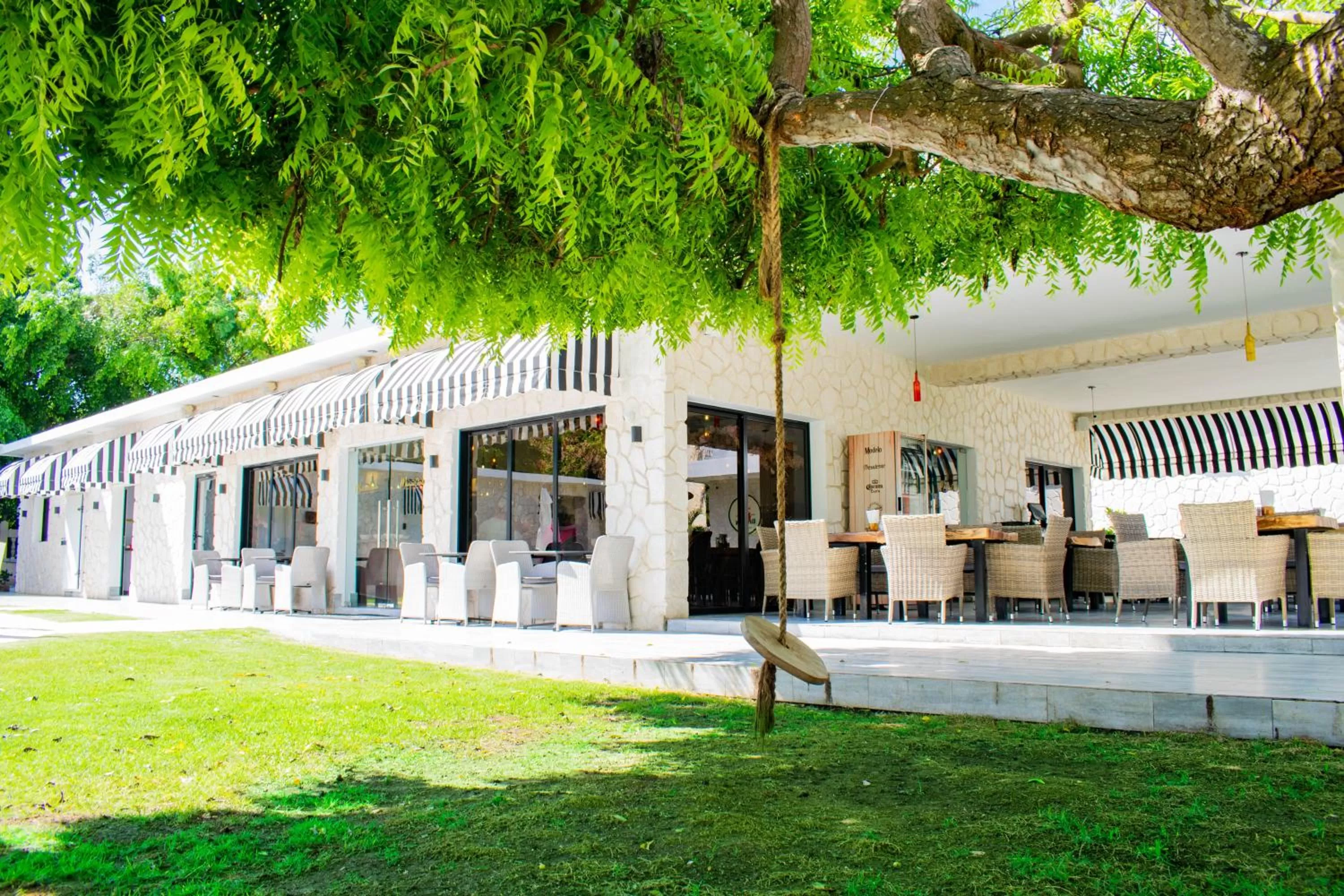 Playa Palmera Beach Resort, Punta Cana, Dominican Republic - from $99 ...