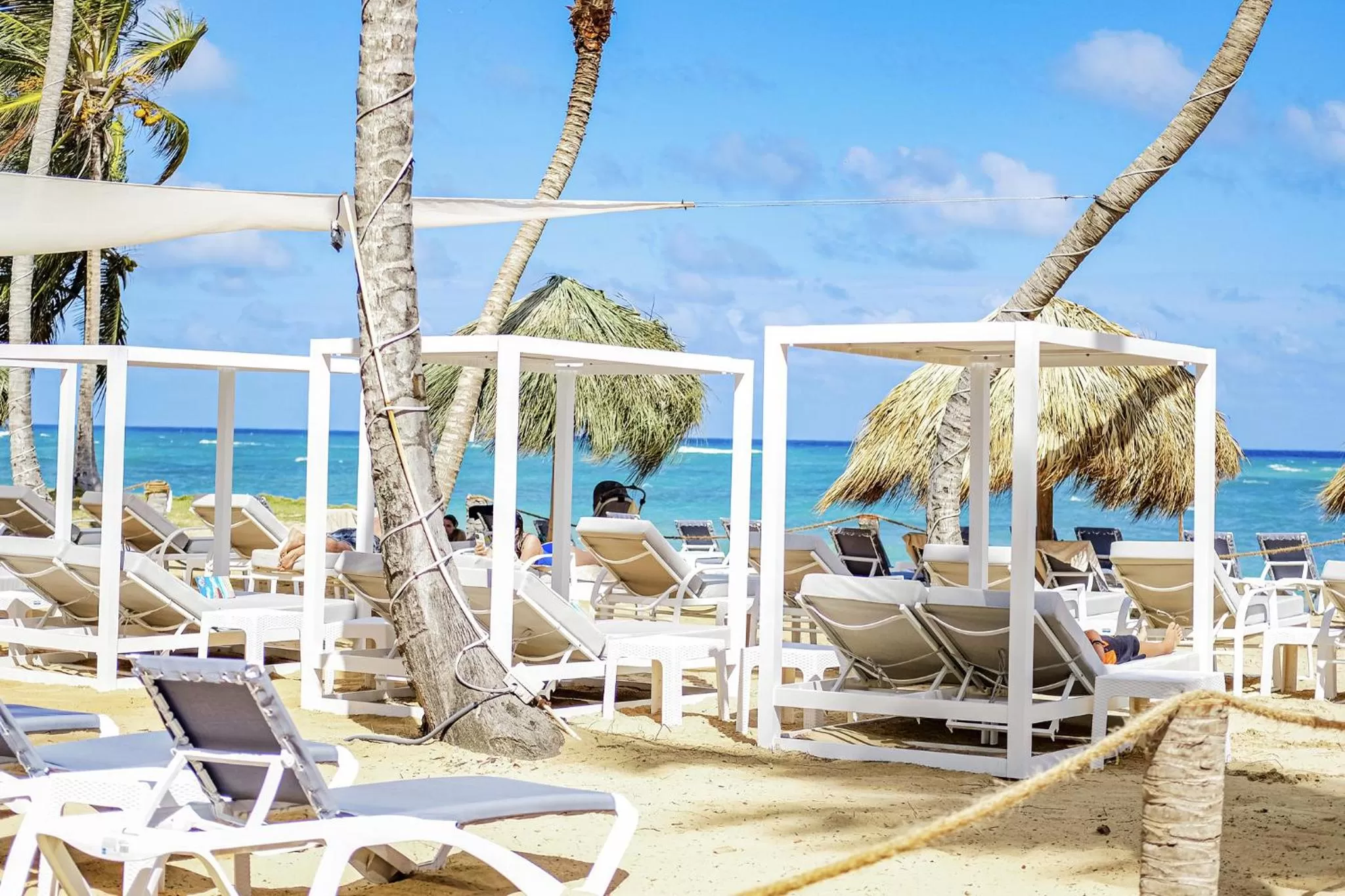 Playa Palmera Beach Resort, Punta Cana, Dominican Republic - from $99 ...