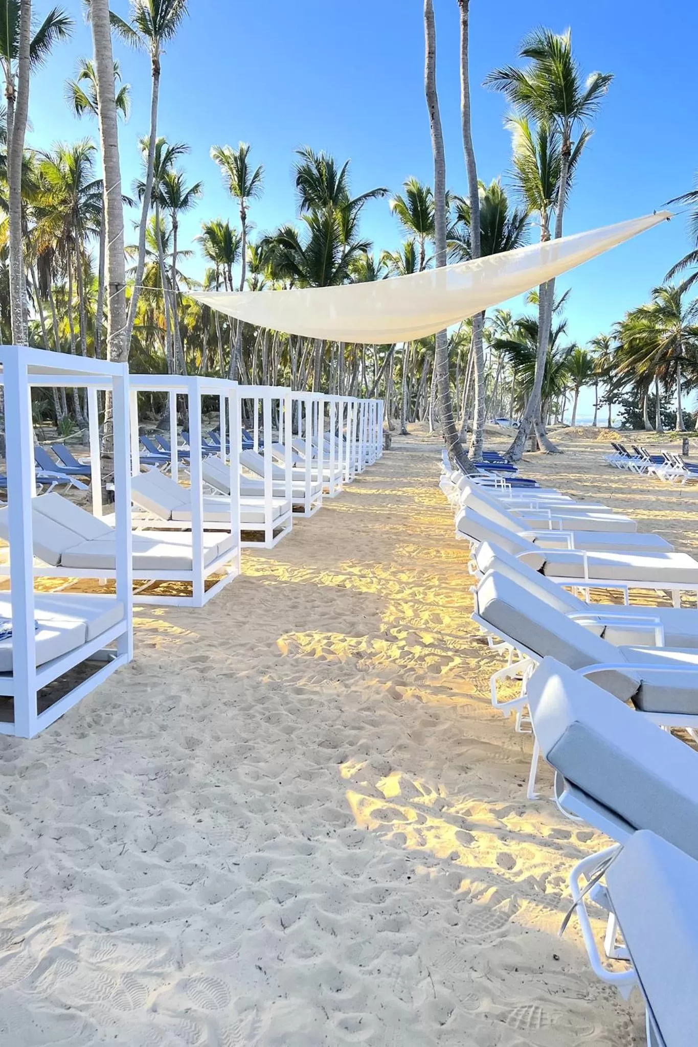 Playa Palmera Beach Resort, Punta Cana, Dominican Republic - from $99 ...