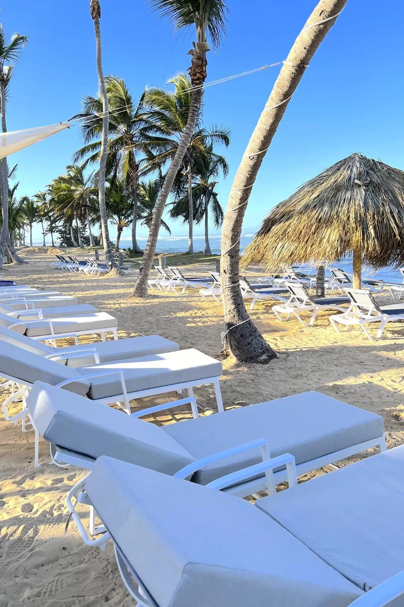 Playa Palmera Beach Resort, Punta Cana, Dominican Republic - from $99 ...